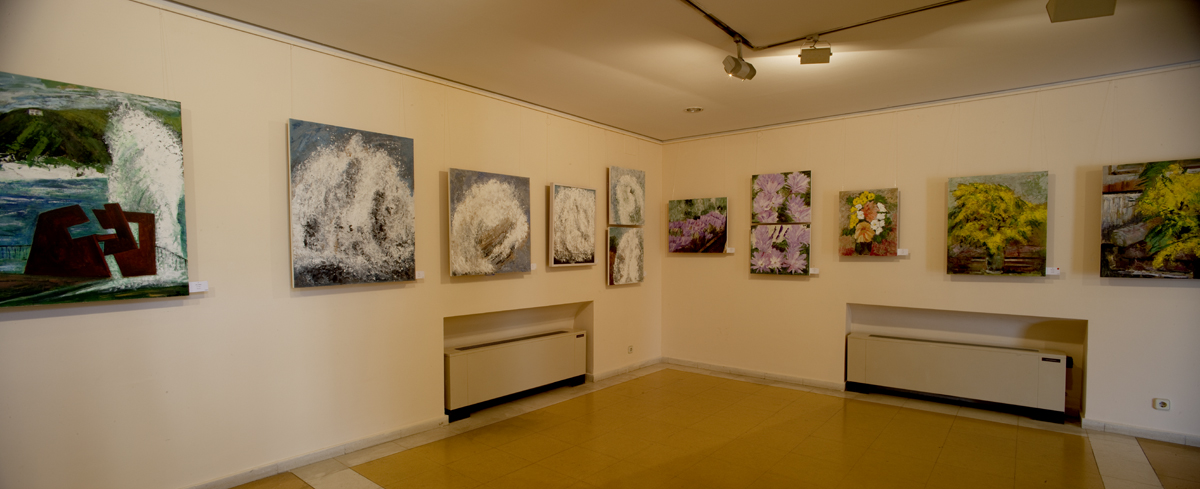 EXPOSICIONES - Maria José Redondo