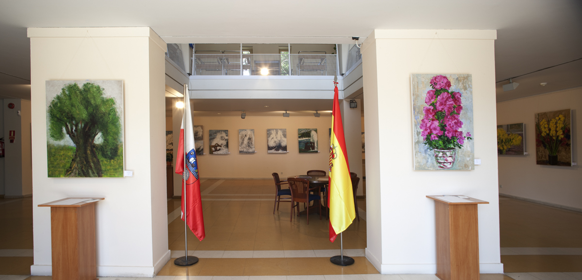 EXPOSICIONES - Maria José Redondo